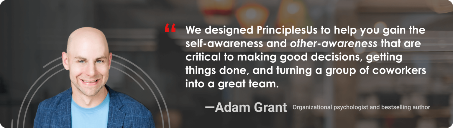 Team Insights – PrinciplesUs